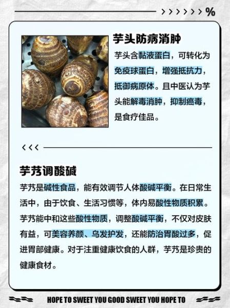 芋艿的功效与作用_芋艿的禁忌人群有哪些-第1张图片-山城妙识