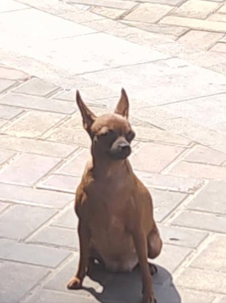 国产干拌面哪个牌子好吃_如何挑选正宗口味-第2张图片-山城妙识