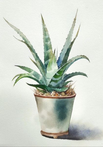 芦荟简笔画怎么画_芦荟图片简笔画步骤-第1张图片-山城妙识 芦荟简笔画怎么画_芦荟图片简笔画步骤-第1张图片-山城妙识