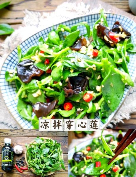 穿心莲凉拌怎么做好吃_穿心莲焯水几分钟最佳-第2张图片-山城妙识 穿心莲凉拌怎么做好吃_穿心莲焯水几分钟最佳-第2张图片-山城妙识