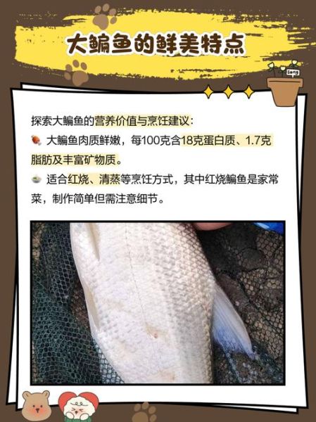 鳊鱼价格一斤多少钱_鳊鱼多少钱一斤-第1张图片-山城妙识