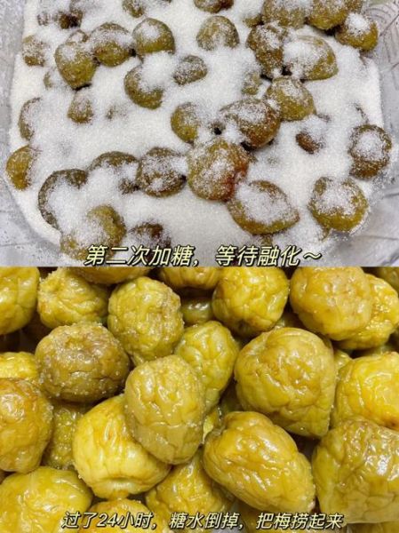 蜜饯怎么做_蜜饯保存多久-第3张图片-山城妙识