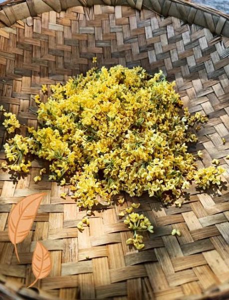 桂花干制作怎么不变黑_桂花干保存不发黑技巧-第1张图片-山城妙识 桂花干制作怎么不变黑_桂花干保存不发黑技巧-第1张图片-山城妙识