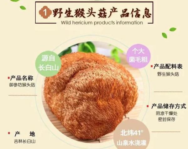 新鲜猴头菇炒肉怎么做_猴头菇炒肉用焯水吗-第2张图片-山城妙识 新鲜猴头菇炒肉怎么做_猴头菇炒肉用焯水吗-第2张图片-山城妙识