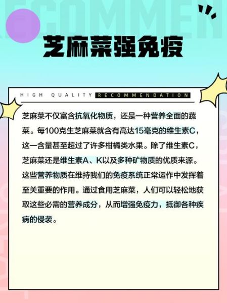 芝麻菜的功效与作用_芝麻菜怎么吃最营养-第3张图片-山城妙识