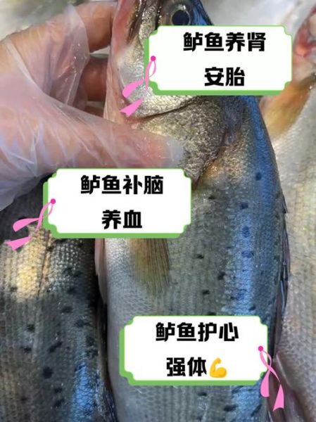 鲈鱼的营养价值_鲈鱼的功效与禁忌-第3张图片-山城妙识
