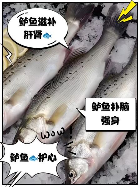 鲈鱼的营养价值_鲈鱼的功效与禁忌-第2张图片-山城妙识