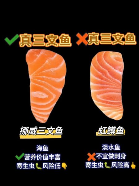 虹鳟鱼和三文鱼的区别_哪个更好吃-第3张图片-山城妙识