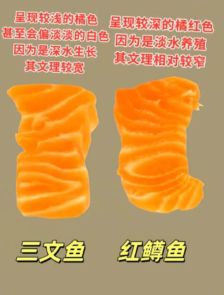 虹鳟鱼和三文鱼的区别_哪个更好吃-第2张图片-山城妙识