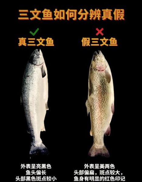 虹鳟鱼和三文鱼的区别_哪个更好吃-第1张图片-山城妙识