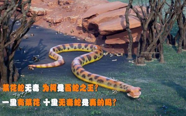 十里无毒蛇_是真的吗-第1张图片-山城妙识