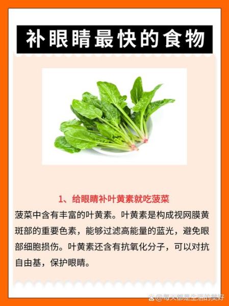 对眼睛好的食物有哪些_吃什么护眼最有效-第3张图片-山城妙识 对眼睛好的食物有哪些_吃什么护眼最有效-第3张图片-山城妙识