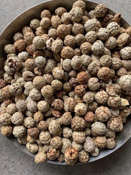 草寇图片_草寇长什么样-第3张图片-山城妙识