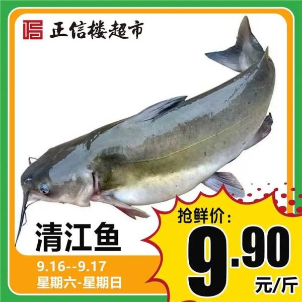 清江鱼价格多少钱一斤_清江鱼为什么贵-第1张图片-山城妙识