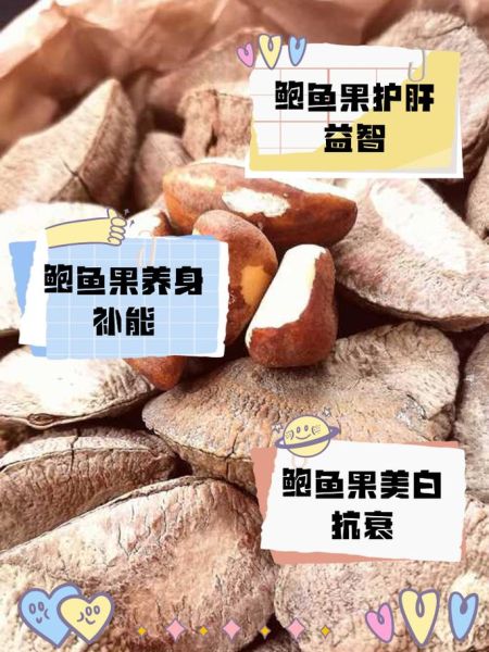 鲍鱼果的功效与作用_鲍鱼果怎么吃最好-第1张图片-山城妙识 鲍鱼果的功效与作用_鲍鱼果怎么吃最好-第1张图片-山城妙识