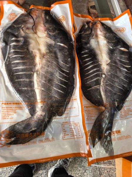 清江鱼价格多少钱一斤_清江鱼为什么贵-第3张图片-山城妙识