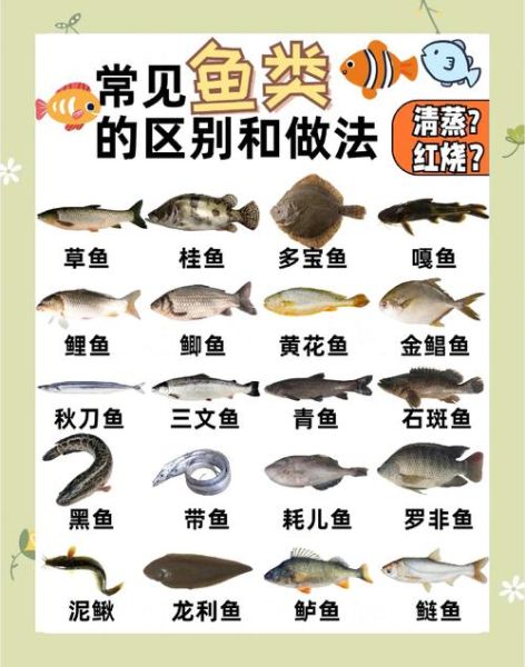 32000种鱼类大全_如何识别常见鱼种-第2张图片-山城妙识