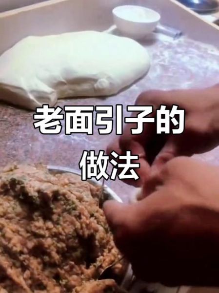 老式发面怎么做_老面引子怎么保存-第2张图片-山城妙识 老式发面怎么做_老面引子怎么保存-第2张图片-山城妙识