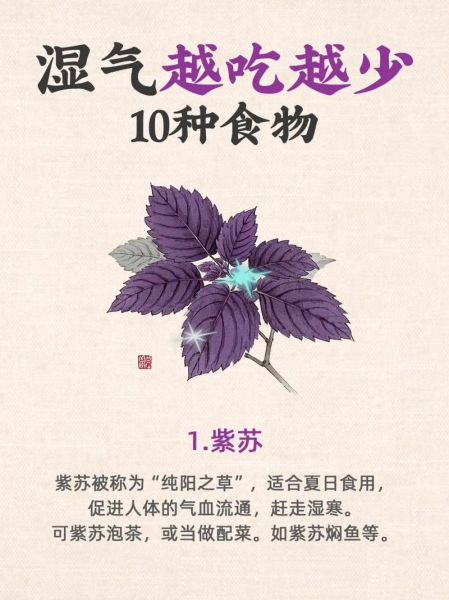 去湿气的食物有哪些_怎么吃效果最好-第2张图片-山城妙识
