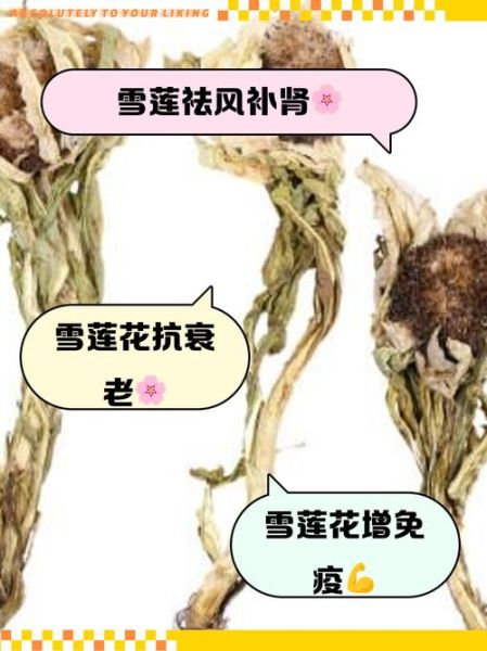 雪莲花的作用与功效怎么吃_雪莲花泡水一次放多少-第2张图片-山城妙识