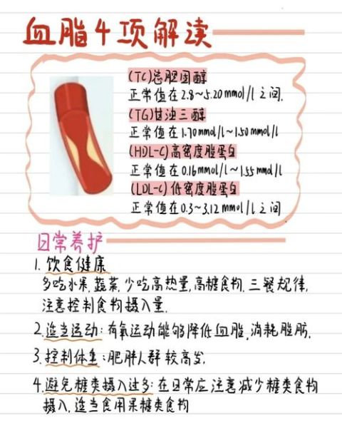 血脂高怎么办_什么方法降最好-第2张图片-山城妙识