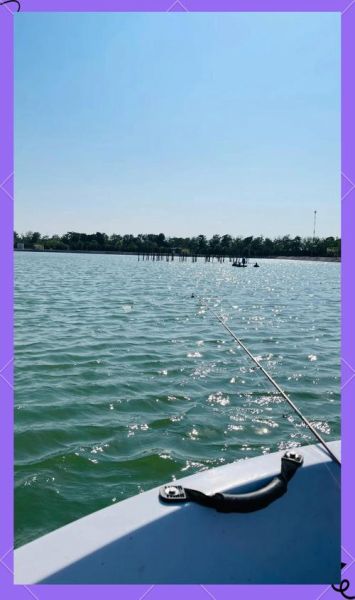 叉尾鮰鱼怎么钓_叉尾鮰鱼钓法技巧-第1张图片-山城妙识