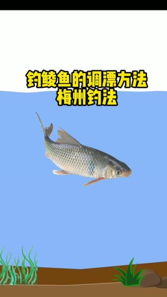 叉尾鮰鱼怎么钓_叉尾鮰鱼钓法技巧-第3张图片-山城妙识