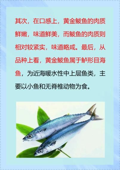 鲅鱼怎么读拼音_鲅鱼是海鱼吗-第1张图片-山城妙识