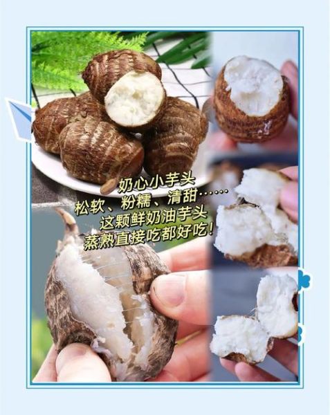 小芋头怎么做好吃_小芋头营养价值有哪些-第3张图片-山城妙识 小芋头怎么做好吃_小芋头营养价值有哪些-第3张图片-山城妙识
