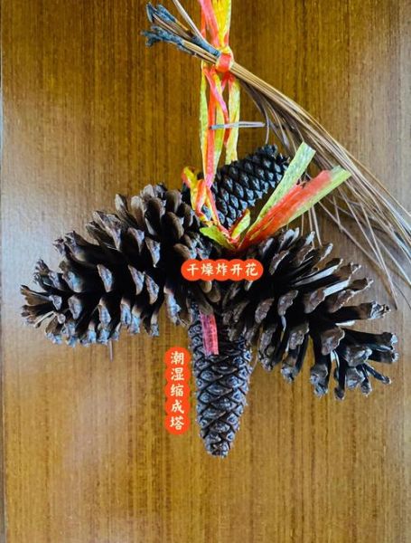 松果怎么吃_松果的食用方法-第2张图片-山城妙识 松果怎么吃_松果的食用方法-第2张图片-山城妙识