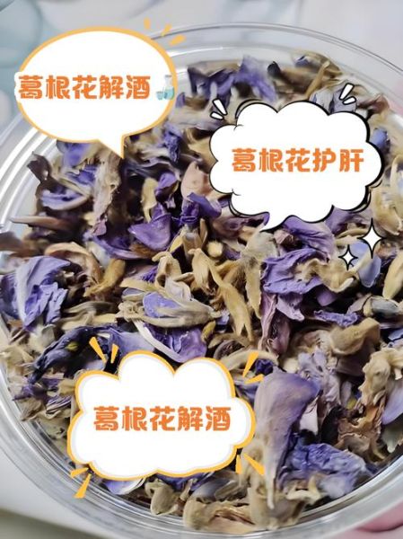 葛根花的功效与作用_葛根花泡水喝的正确方法-第1张图片-山城妙识 葛根花的功效与作用_葛根花泡水喝的正确方法-第1张图片-山城妙识