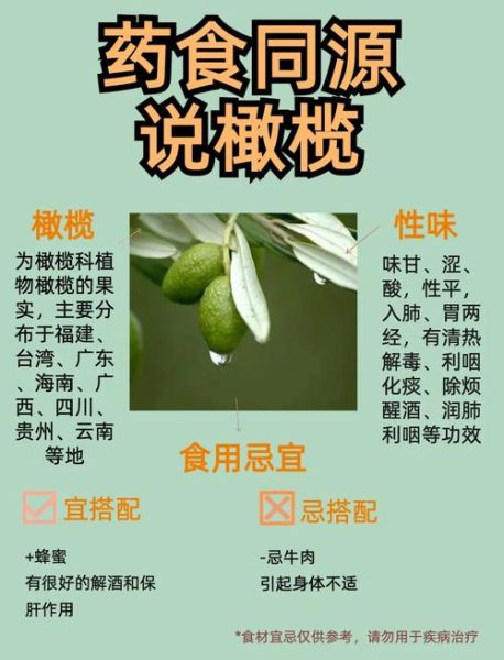 青橄榄的功效与作用及禁忌_青橄榄怎么吃最好-第3张图片-山城妙识