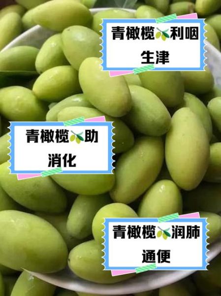 青橄榄的功效与作用及禁忌_青橄榄怎么吃最好-第1张图片-山城妙识