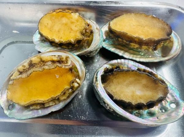 鲍鱼怎么清洗_鲍鱼清蒸几分钟才熟-第2张图片-山城妙识 鲍鱼怎么清洗_鲍鱼清蒸几分钟才熟-第2张图片-山城妙识