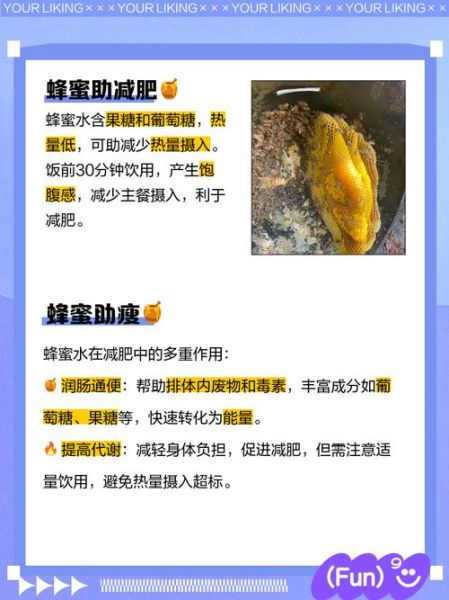 蜂蜜水什么时候喝减肥_怎么喝蜂蜜水减肥有效-第1张图片-山城妙识