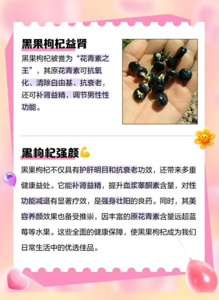 黑果的功效与作用_黑果枸杞怎么吃效果最好-第2张图片-山城妙识 黑果的功效与作用_黑果枸杞怎么吃效果最好-第2张图片-山城妙识