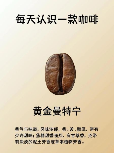 曼特宁咖啡产地在哪里_为什么风味独特-第1张图片-山城妙识