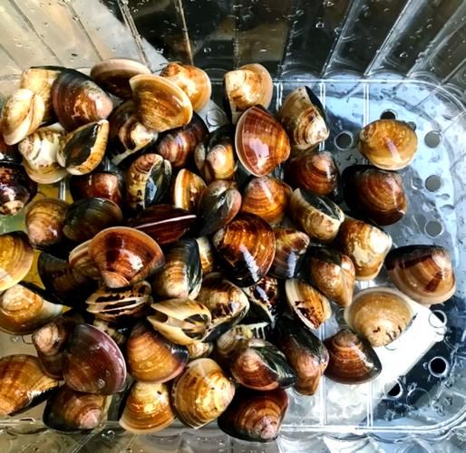 蛤蜊疙瘩汤怎么做_蛤蜊疙瘩汤怎么做好吃-第3张图片-山城妙识