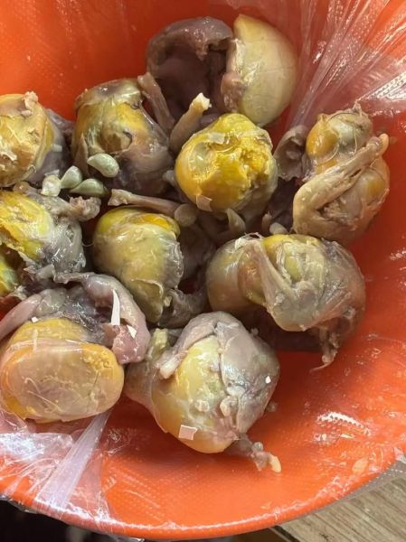 毛鸡蛋怎么做最好吃_毛鸡蛋最正宗做法-第2张图片-山城妙识 毛鸡蛋怎么做最好吃_毛鸡蛋最正宗做法-第2张图片-山城妙识