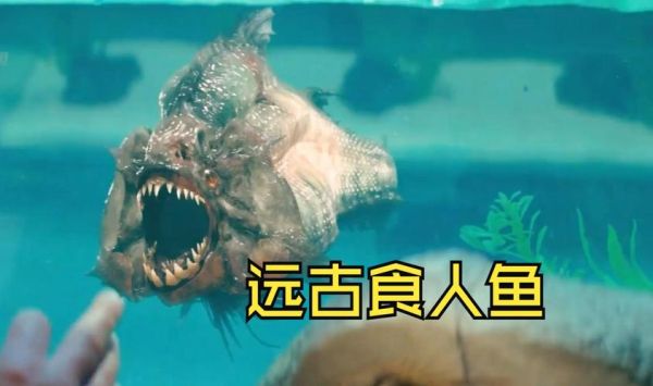 食人鱼电影恐怖吗_食人鱼电影适合孩子看吗-第2张图片-山城妙识 食人鱼电影恐怖吗_食人鱼电影适合孩子看吗-第2张图片-山城妙识