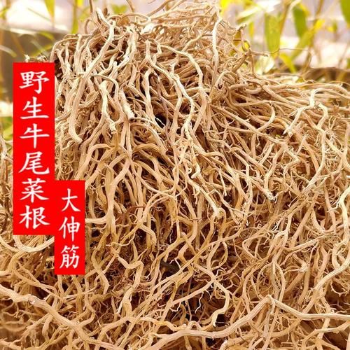 牛尾菜是什么_牛尾菜怎么吃-第2张图片-山城妙识