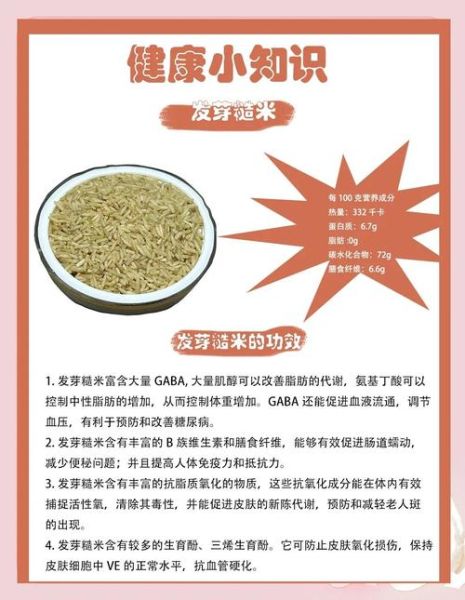 发芽糙米茶的功效与作用_发芽糙米茶能减肥吗-第1张图片-山城妙识