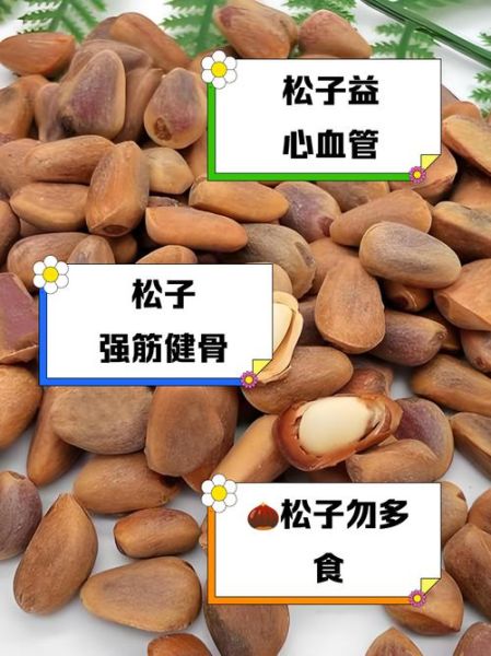 松子能减肥吗_松子吃多了有什么坏处-第1张图片-山城妙识