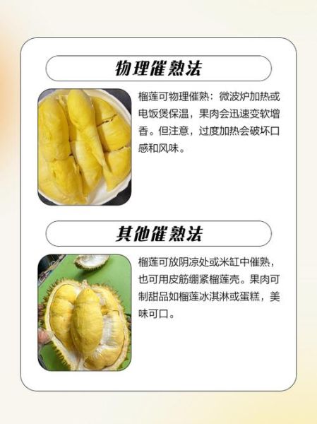 不熟榴莲肉怎么放熟_榴莲肉不熟怎么办-第3张图片-山城妙识