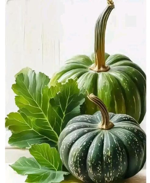 北瓜和南瓜的区别_哪个营养价值更高-第1张图片-山城妙识 北瓜和南瓜的区别_哪个营养价值更高-第1张图片-山城妙识