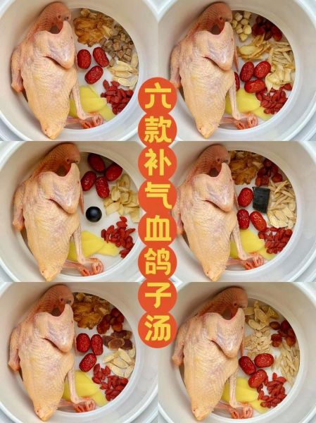 鸽子炖什么适合儿童吃_儿童鸽子汤怎么炖不上火-第2张图片-山城妙识