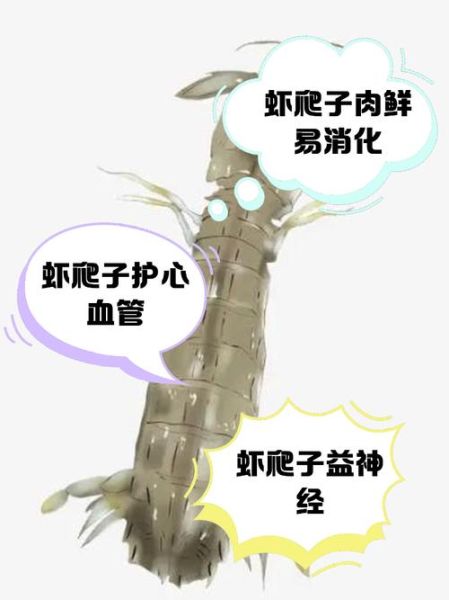 虾爬子的营养价值_虾爬子的功效与作用-第3张图片-山城妙识