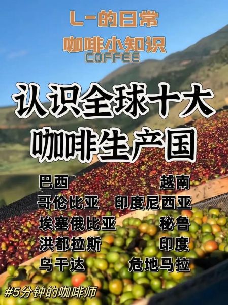什么咖啡豆好喝_十大最好喝的咖啡豆品牌-第3张图片-山城妙识 什么咖啡豆好喝_十大最好喝的咖啡豆品牌-第3张图片-山城妙识