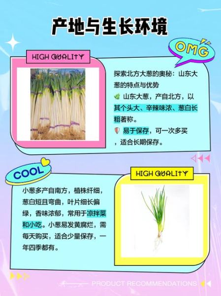 大葱花怎么吃_大葱花和大葱区别-第1张图片-山城妙识