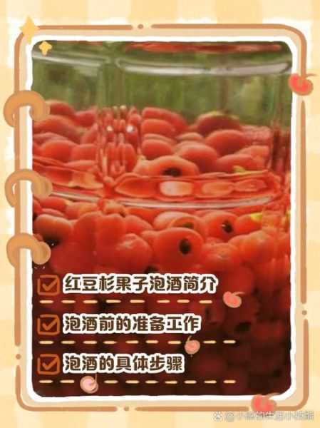 红豆杉泡酒的制作方法_红豆杉泡酒有什么功效-第3张图片-山城妙识